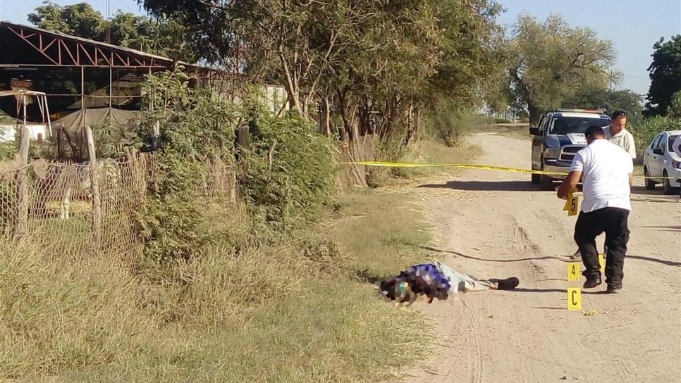 Encuentran a hombre ejecutado en el ejido Figueroa | Luz Noticias Encuentran a hombre ejecutado en el ejido Figueroa | Luz Noticias