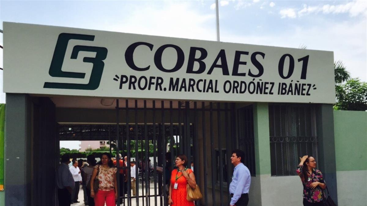 Cobaes 01 obtiene promoción al nivel I del Sistema Nacional | Luz Noticias
