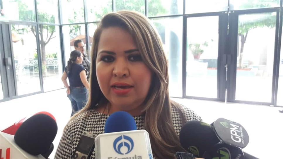 Ley de Seguridad no puede eliminarse “al vapor”: Emma Karina Millán ...
