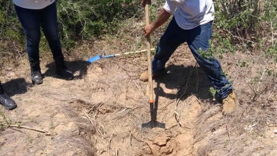 Hallan restos humanos en El Guachapori | Luz Noticias