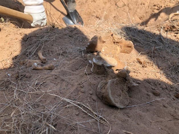Localizan osamenta en El Guachapori | Luz Noticias