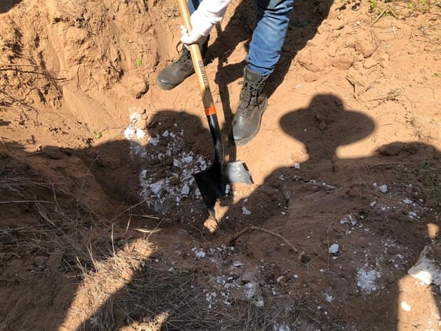 Localizan osamenta en El Guachapori | Luz Noticias