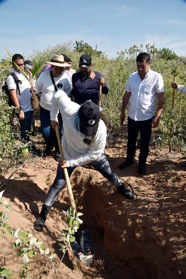 Localizan osamenta en El Guachapori | Luz Noticias