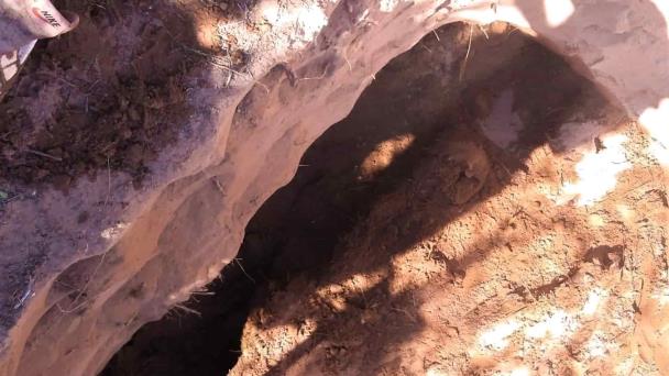 El Guachapori, el panteón clandestino más grande de Ahome | Luz Noticias