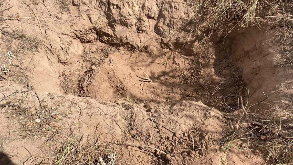 Rastredoras por La Paz localizan osamenta en El Guachapori | Luz Noticias