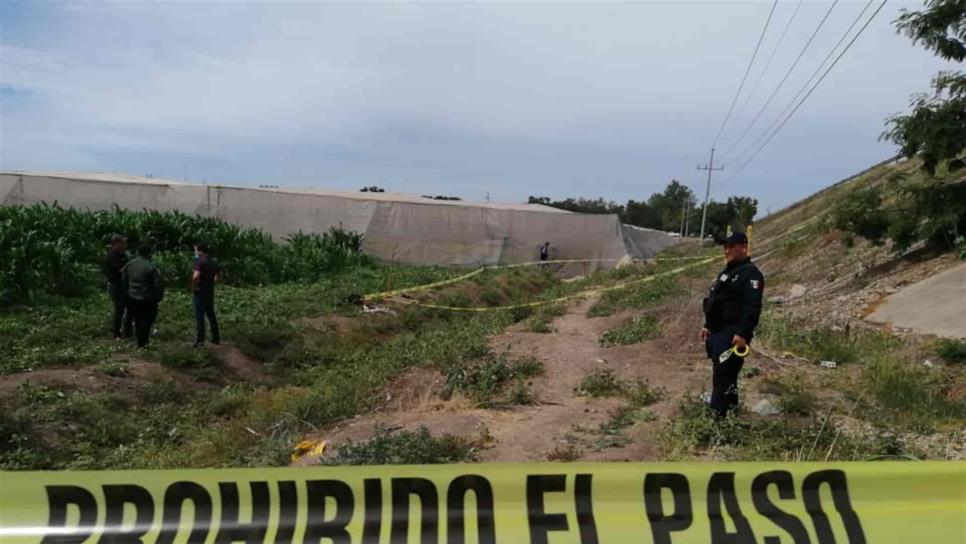 Agosto Cierra Con 78 Personas Asesinadas En Sinaloa Luz Noticias