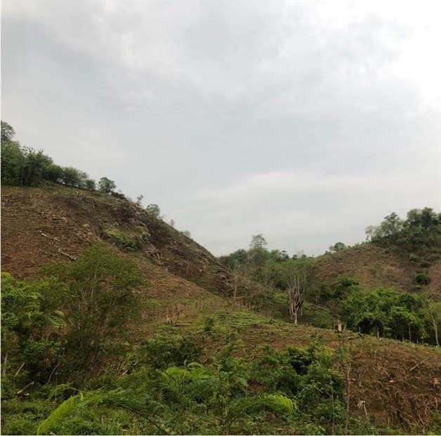 Crearán la Comisión de Cuenca del Río Baluarte para protegerlo | Luz ...