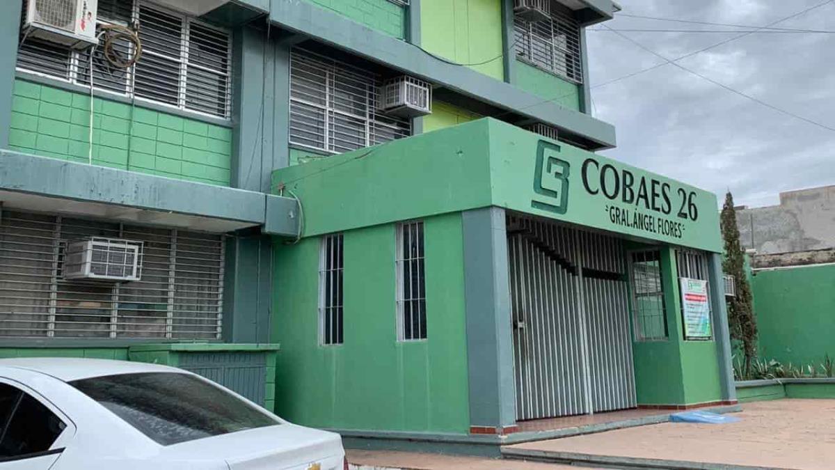 Cobaes iniciara clases el próximo martes en modelo híbrido, es decir ...
