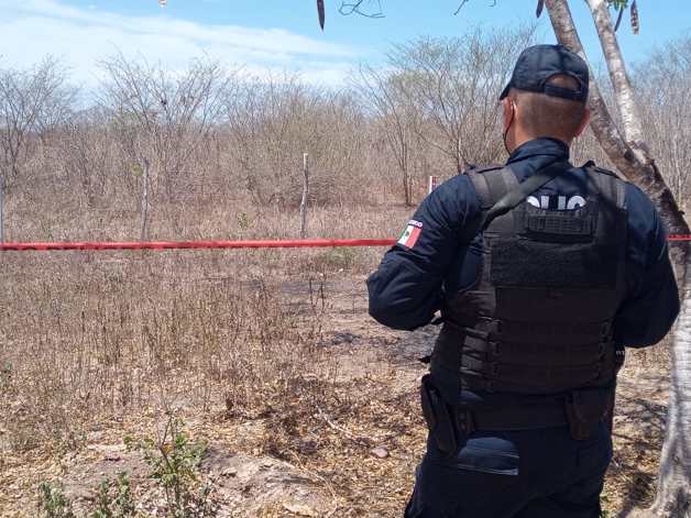 Fueron Cinco Cuerpos Los Encontrados En La Cruz De Elota Luz Noticias