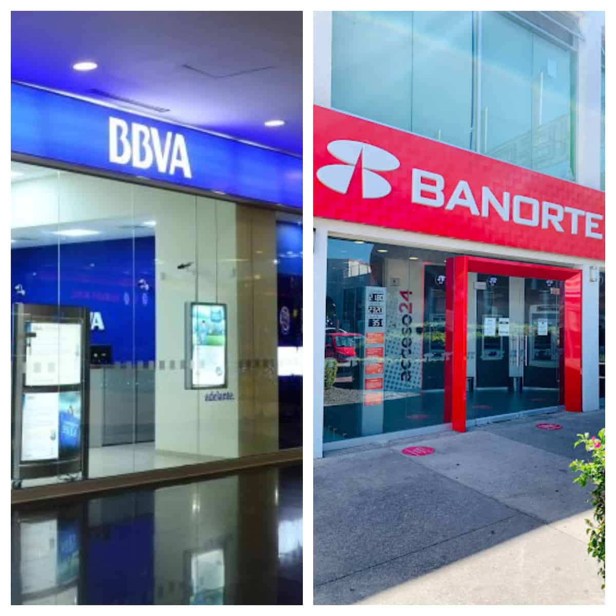 BBVA vs Banorte: cuál tarjeta de crédito es mejor según las comisiones que cobran | Luz Noticias