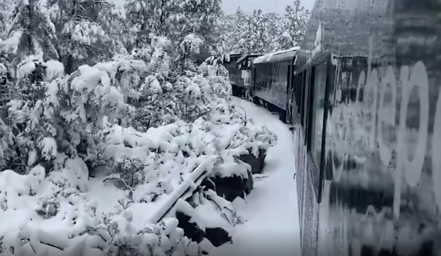 Tren Maya vs Chepe Express: aquí las cinco diferencias | Luz Noticias