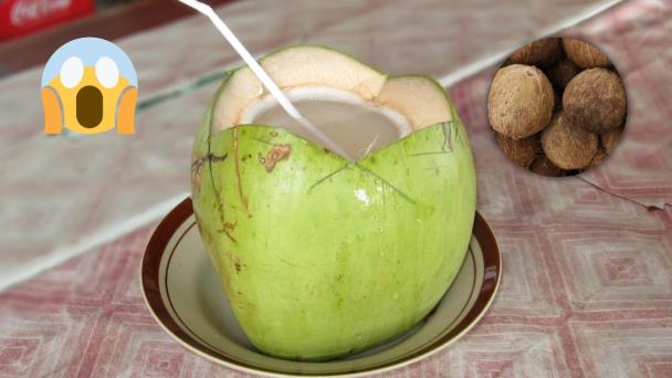 Rituales: ¿Qué significa dejar un coco debajo de tu cama? | VIDEOS ...