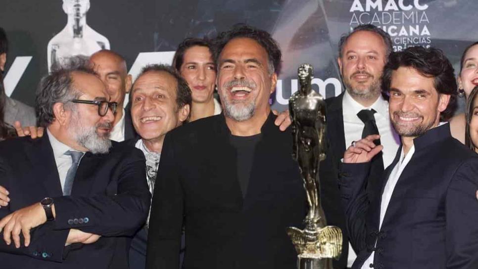 Premios Ariel 2023: estos son los ganadores | Luz Noticias