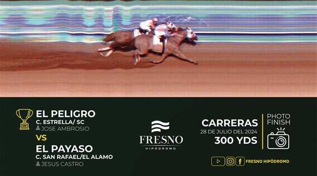 Así fue la última carrera de «El Payaso», el caballo más famoso de Culiacán | VIDEO | Luz Noticias