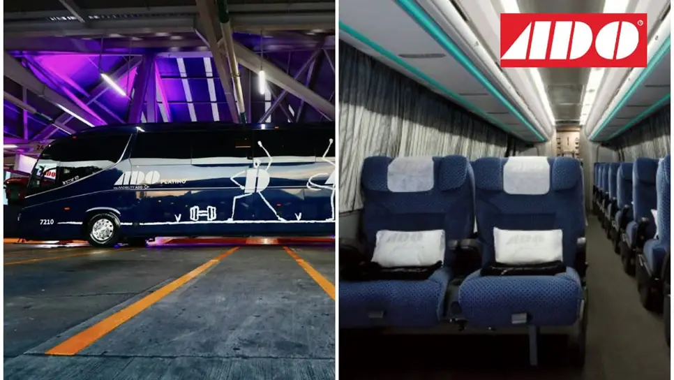 Así lucen los nuevos autobuses de ADO Platino i8 Efficient, ¿qué ...